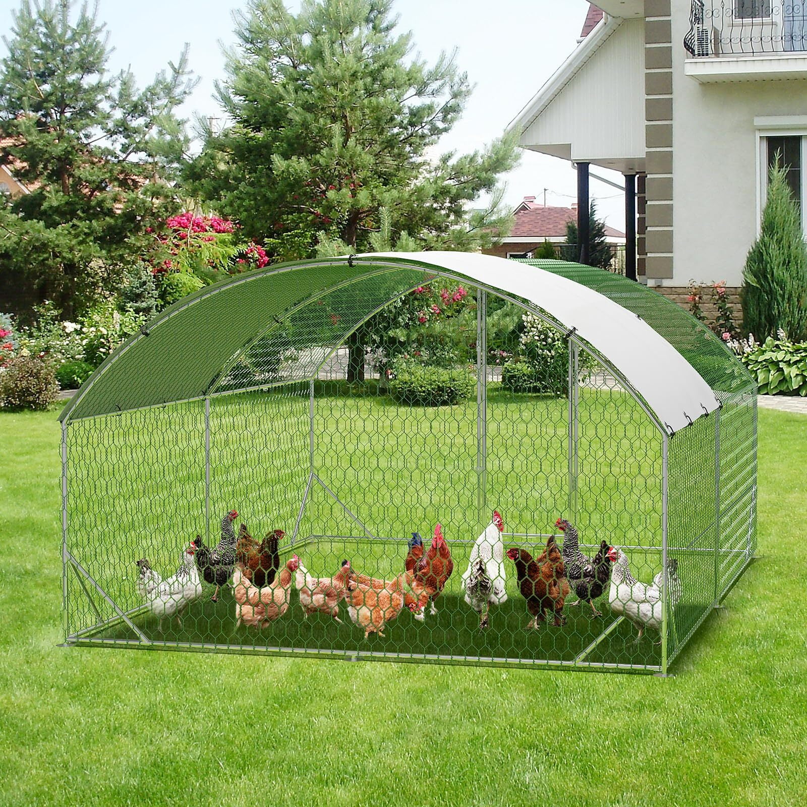 Large Metal Chicken Coop Doom Roof Chicken Run for Yard Walk-in Poultry ...