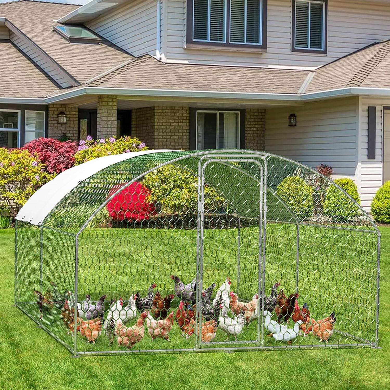 Large Metal Chicken Coop, Doom Roof Large Chicken Run for Yard, Walk-in ...
