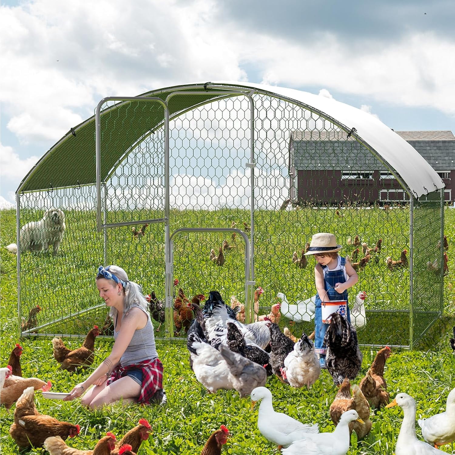 Large Metal Chicken Coop, Outdoor Heavy Duty Walk-in Poultry Cage ...