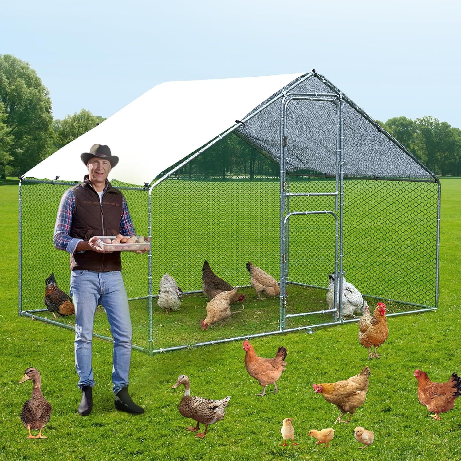 Large Metal Chicken Coop with Run, Chicken Coop for Farm Yard with ...