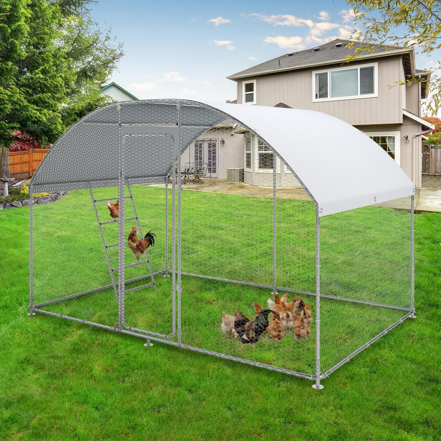 Large Metal Chicken Coop, Walk-in Chicken Run for 10 Chicken with Water ...