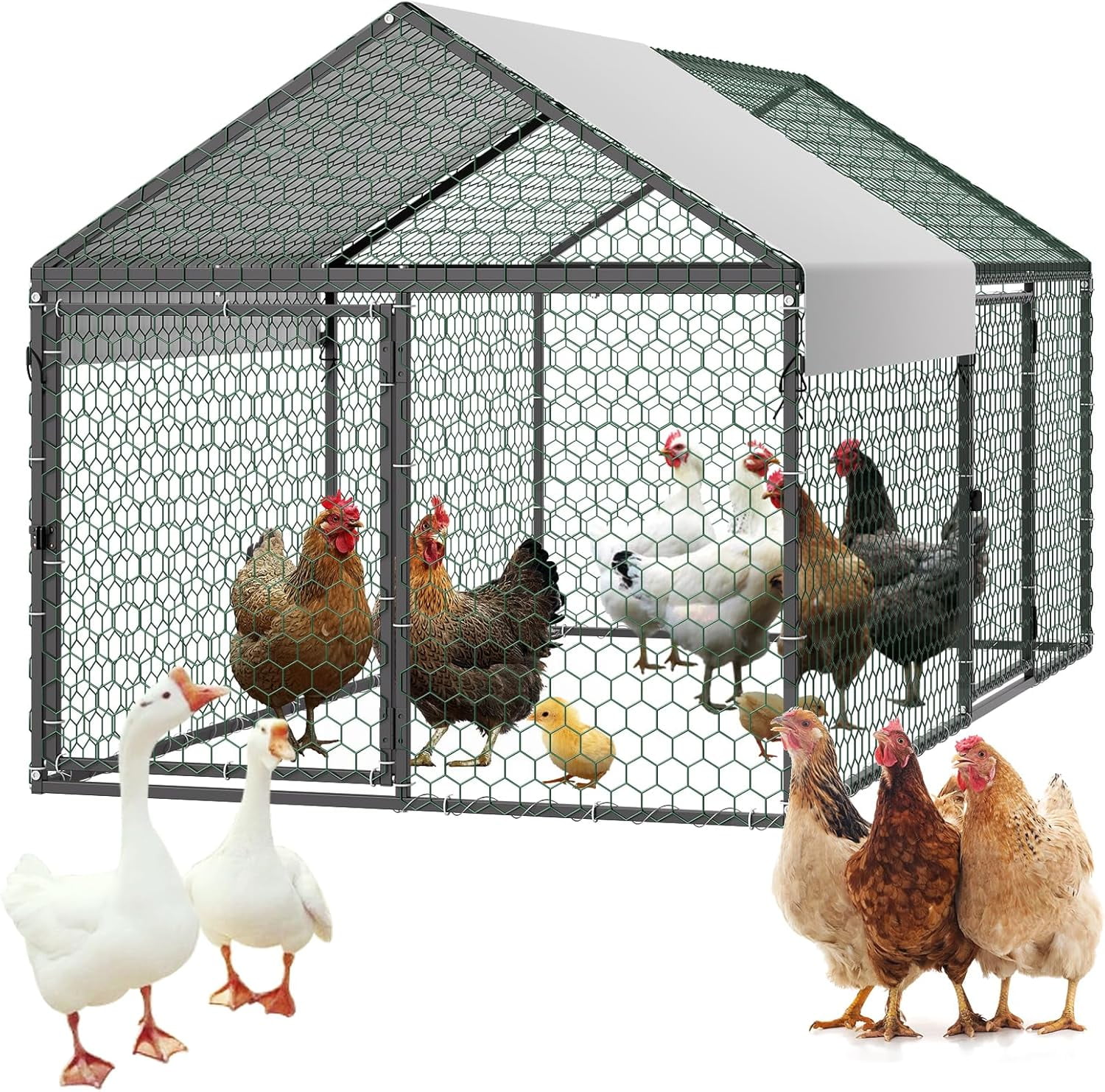 Large Metal Chicken Coop ft Walk in Chicken Runs for Yards with Cover ...