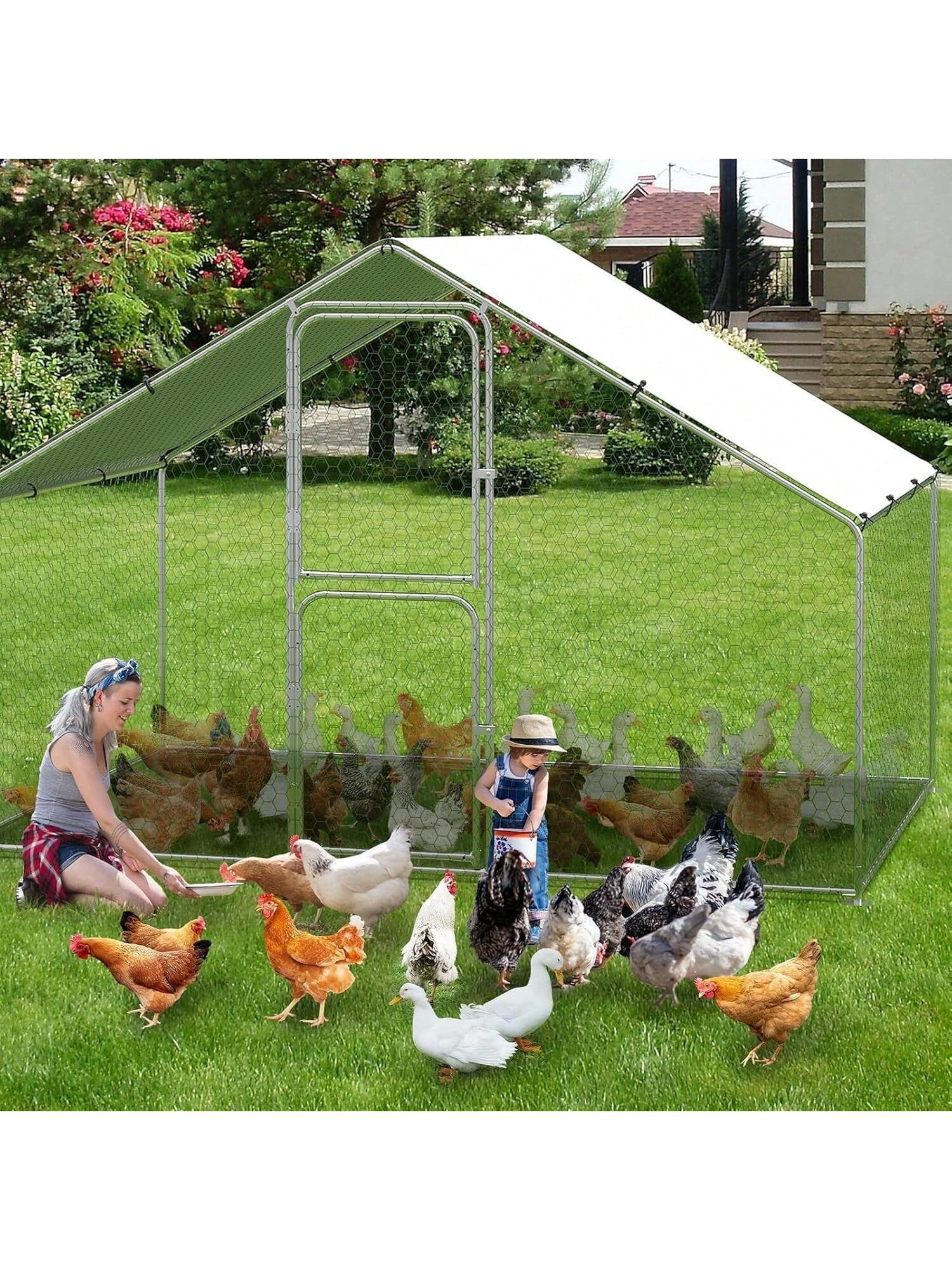 Large Metal , Walk-In Poultry Cage, Chicken Run Pen House With ...