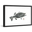 "Scamp Grouper" Framed Painting Print - Walmart.com
