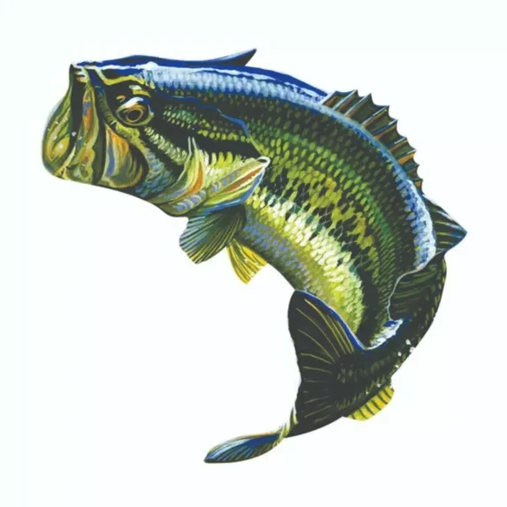 Large Mouth Bass Sticker Truck, Fishing, Boat Stickers Phone Decal ...