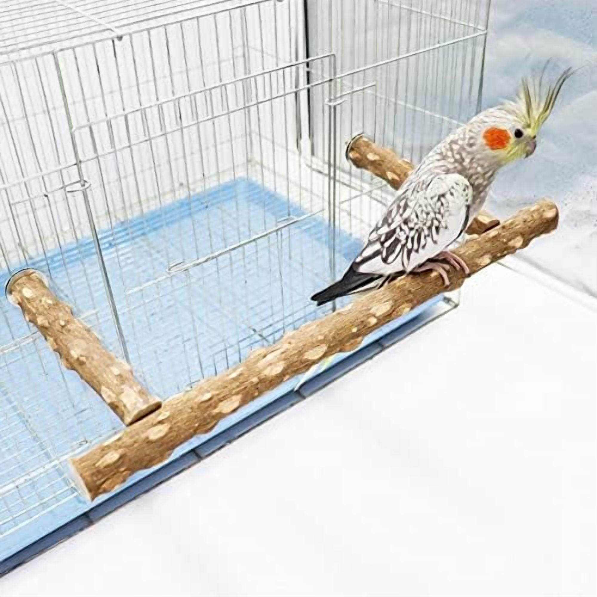 Large Natural Pepper Wood Parrot Stand , Wooden Perch for Parakeet ...