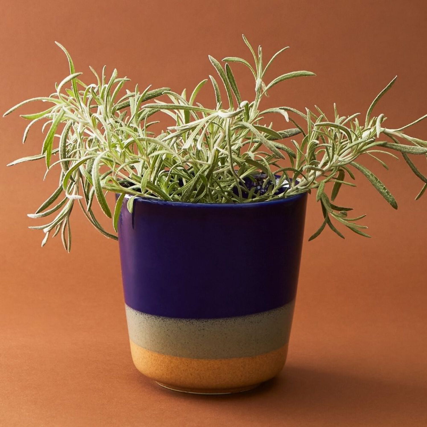 Large Ocean Ceramic Planter - Walmart.com