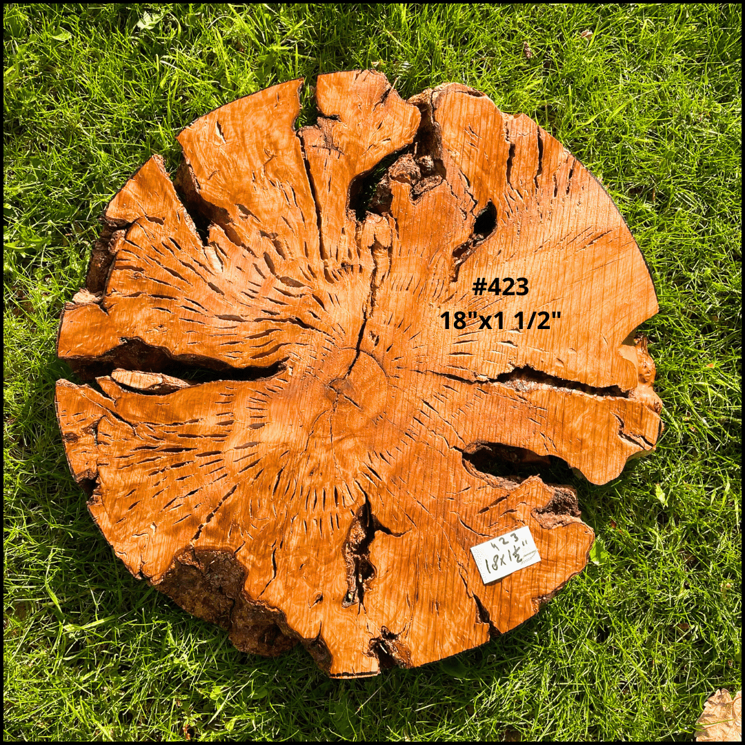Large Olive Wood Live Edge Burl Cookies for Resin Projects, Wood Art ...