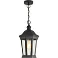 Large Outdoor Pendant Light Fixtures, 17.9" H Black Exterior Hanging ...