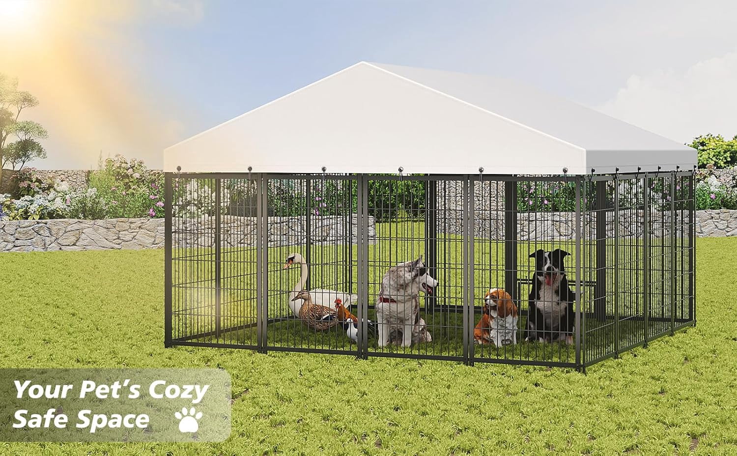 Large Outdoor Pet Kennel with Black Iron Frame and White Roof, 9.62x9 ...