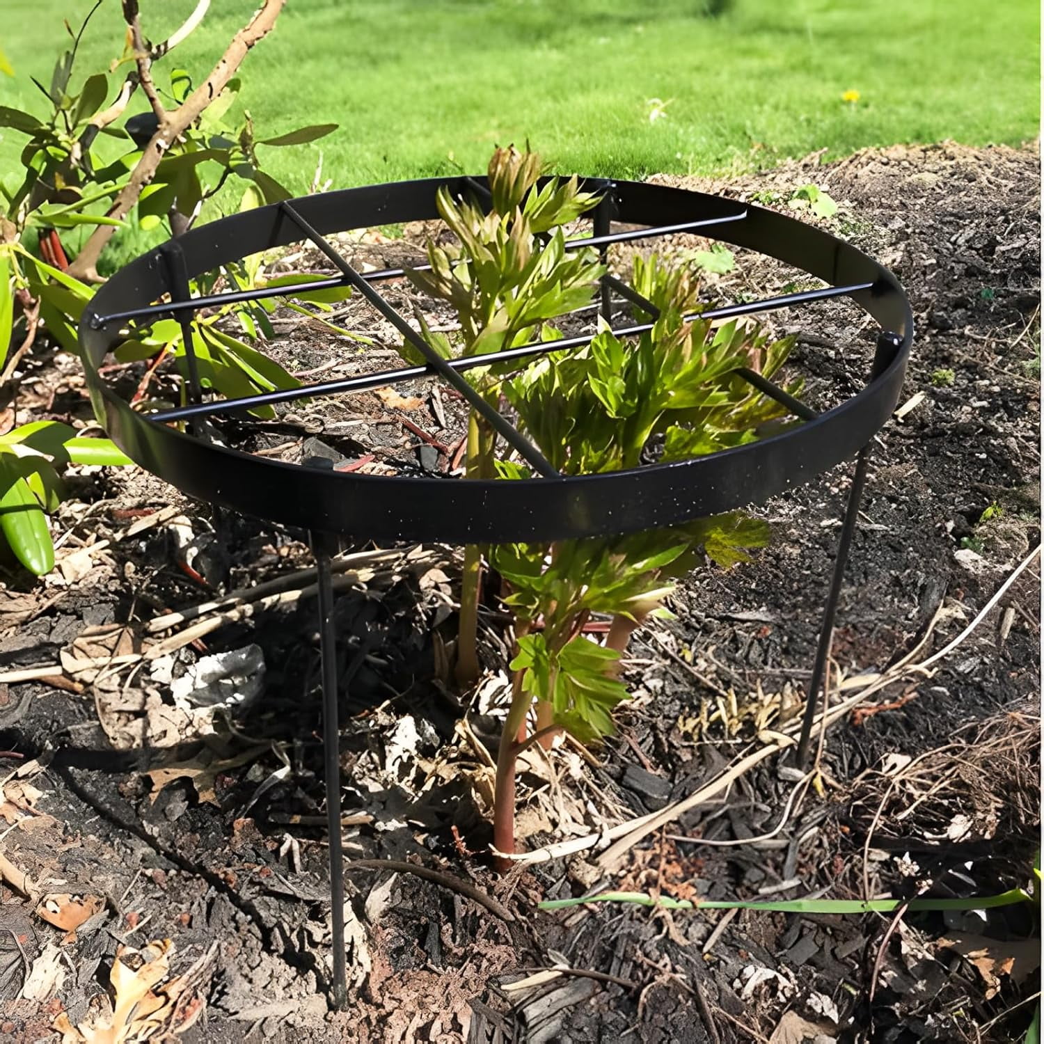 Large Peony Cages and Supports 18.9"x23.6" - Durable Round Garden ...