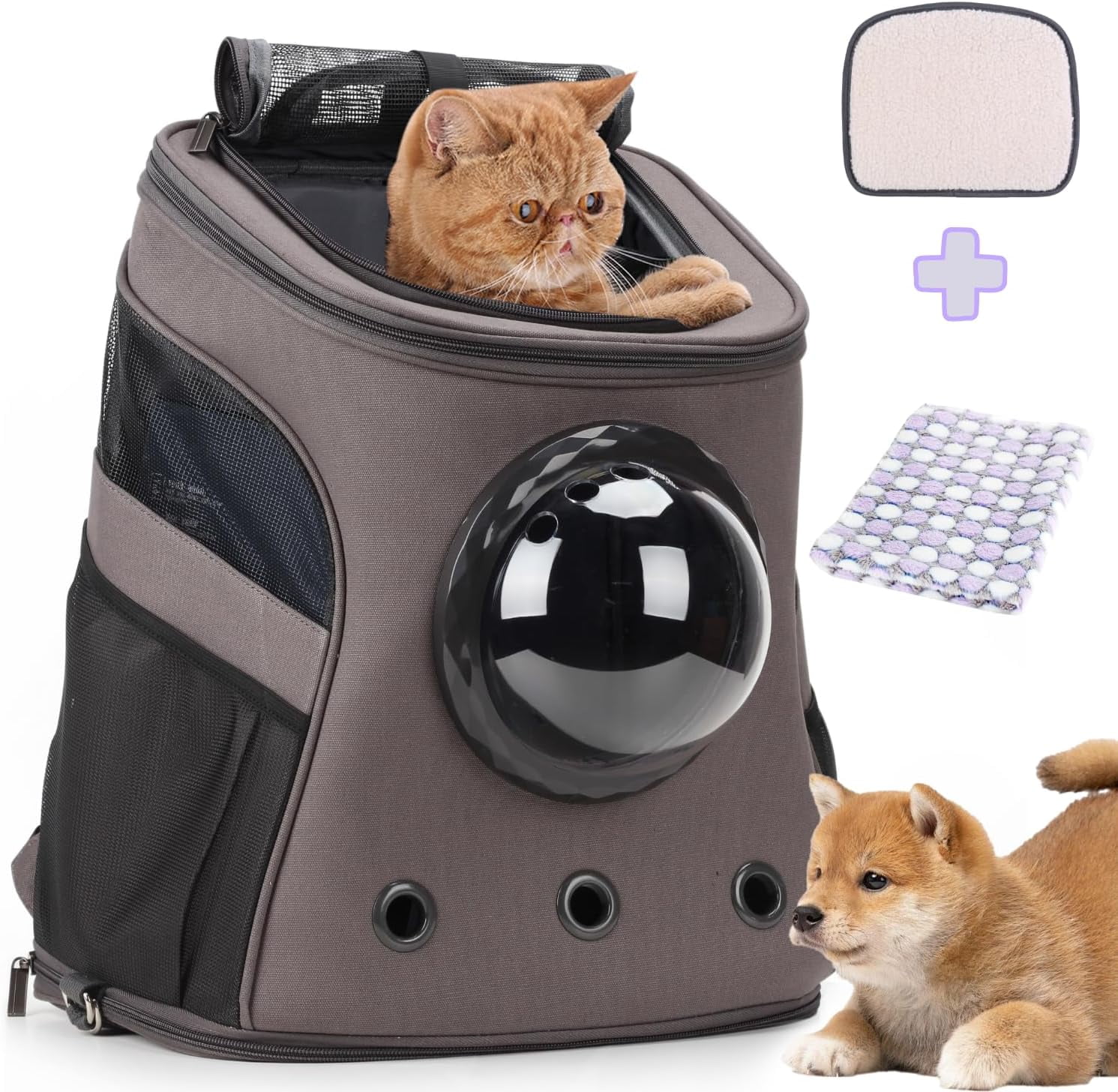 Large Pet Carrier Backpack, Bubble Backpack Carrier for Fat Cats and ...