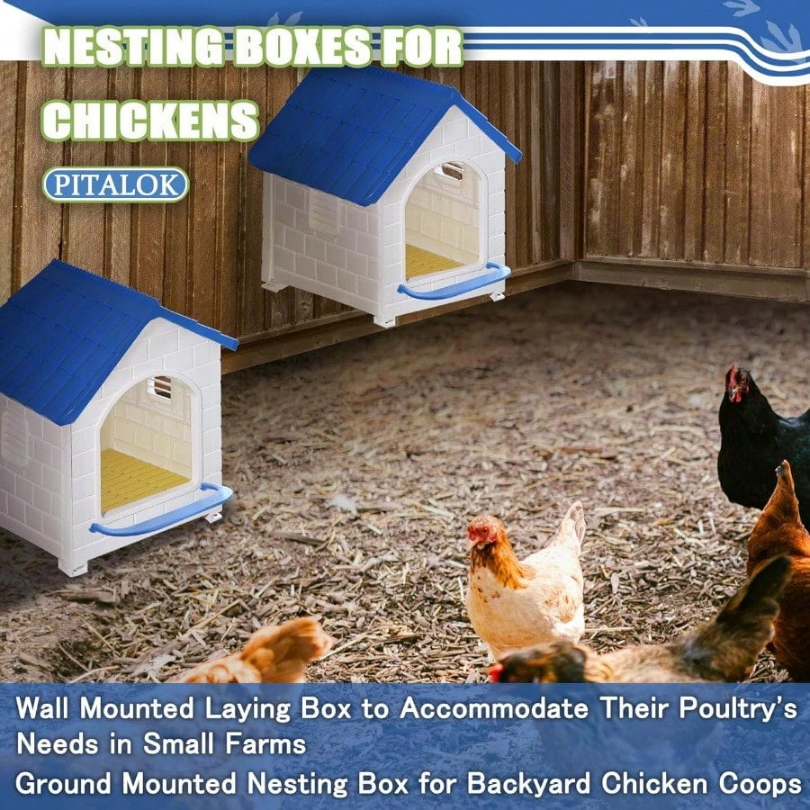 Large Plastic Chicken Nesting Box With Washable Nesting Pad, Easy To ...
