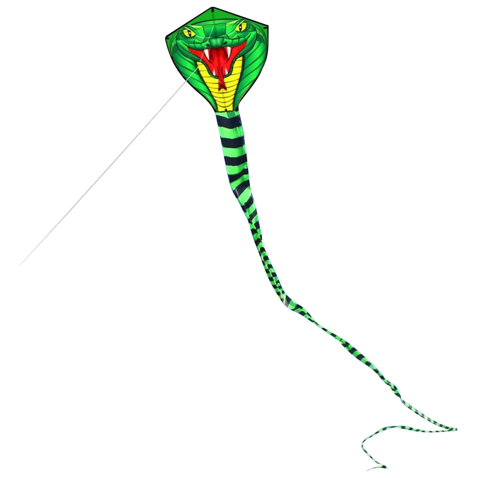 Large Power Serpentine Kite with Flying Line - Outdoor Sports Kite ...