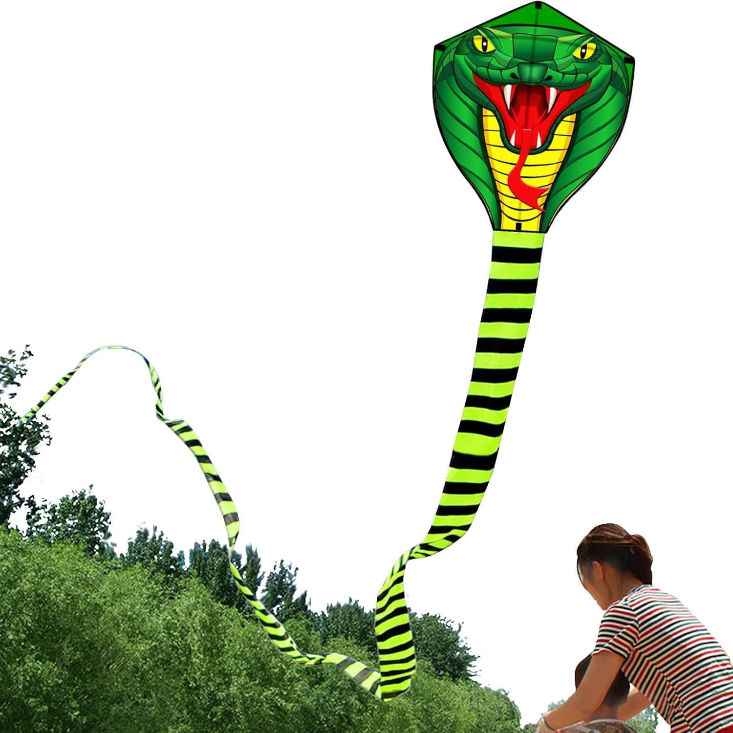 Large Power Snake Kites with Flying Line Outdoor Fun Sports Kite ...