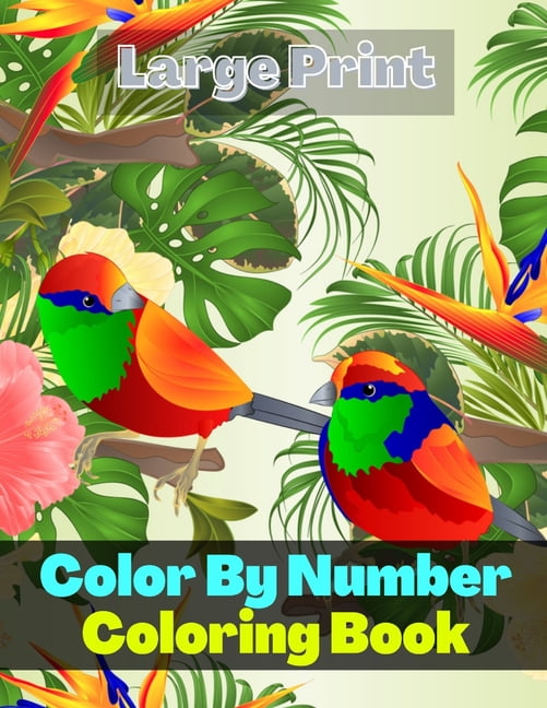 Large Print Color By Number Coloring Book: Adult Color By Numbers ...