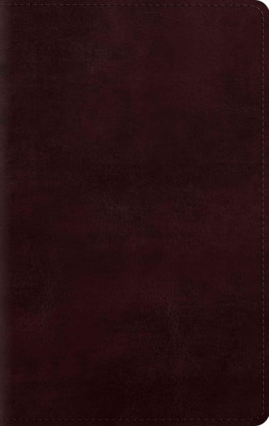 Large Print Personal Size Bible-ESV (Hardcover) - Walmart.com