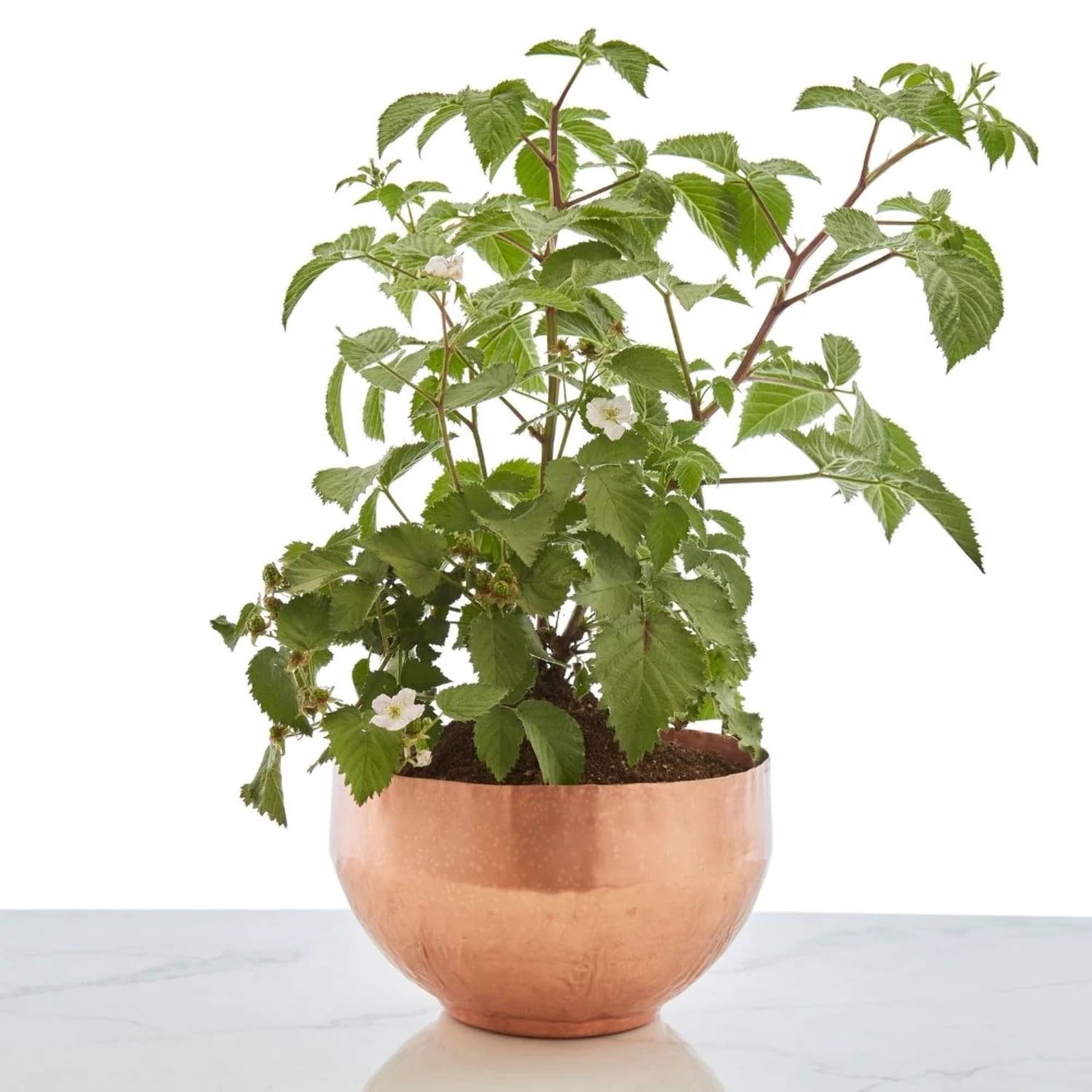 Large Pure Raw Copper Planter - Walmart.com