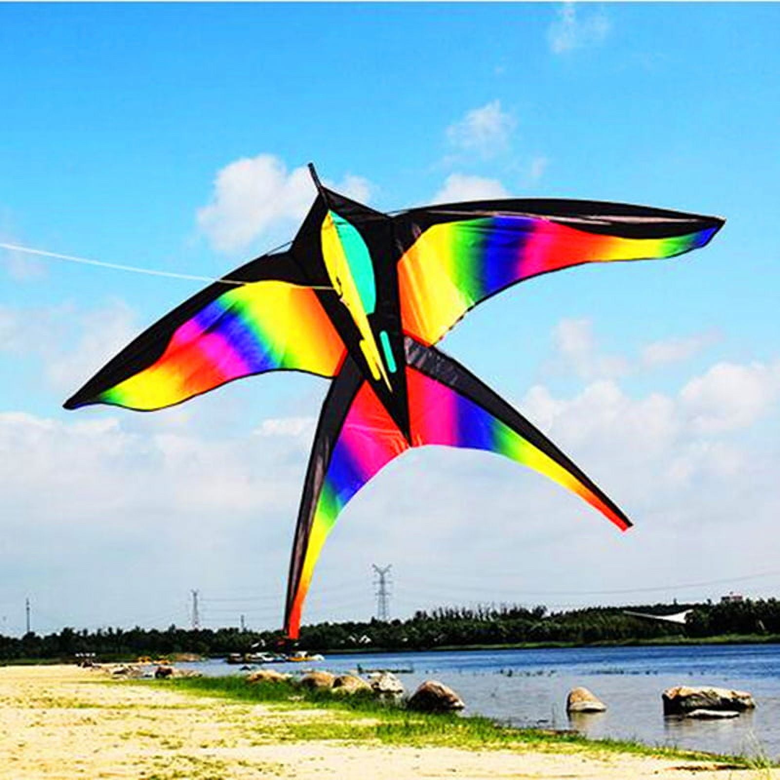 Large Rainbow Bird Kites with Handle Line Nylon Fabric Swallow Kite ...