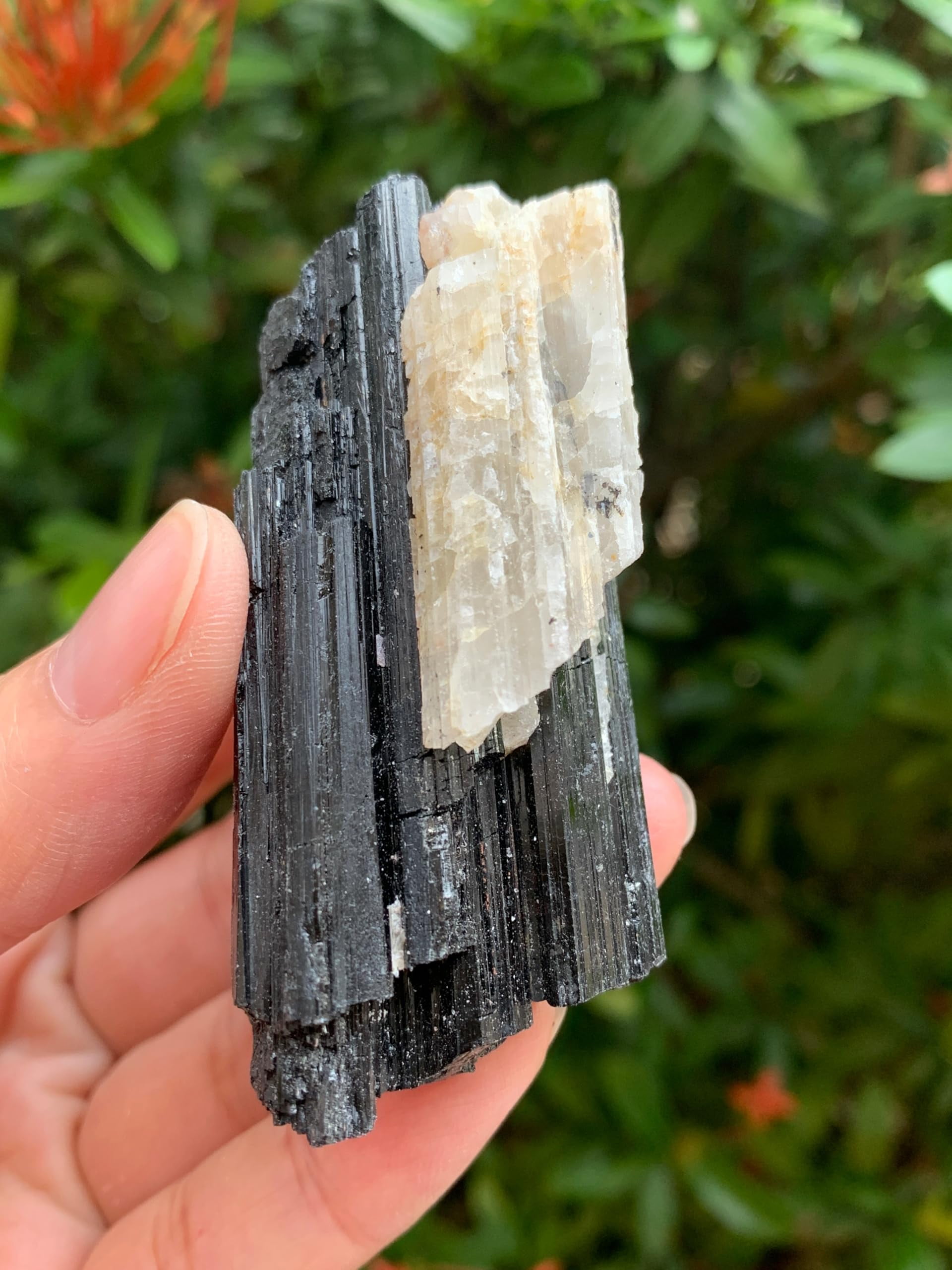 Large Raw Black Tourmaline with Quartz, Natural Black Tourmaline with ...