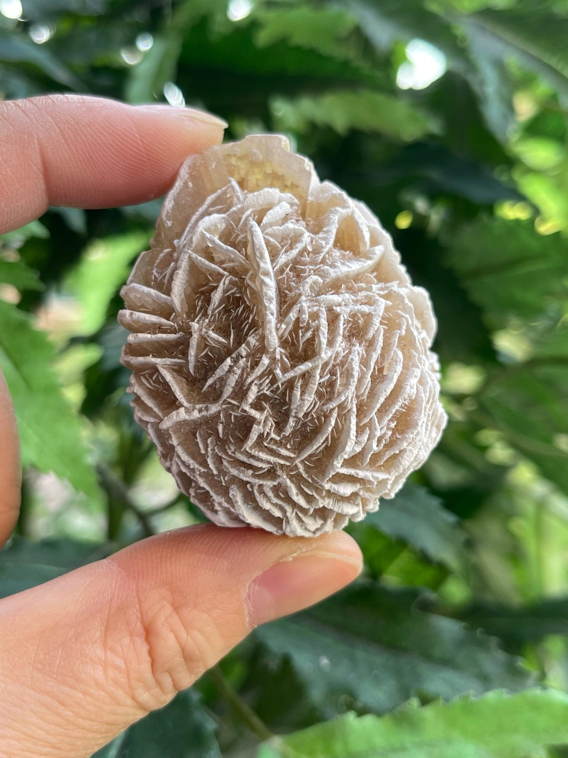 Large Raw Desert Rose, Natural Desert Rose Stone, Natural Rough Desert ...