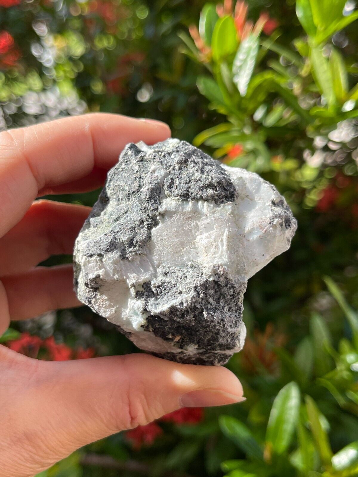 Large Raw Stones, Natural Rough Stones 2-3, Choose From 40 Types Stones ...