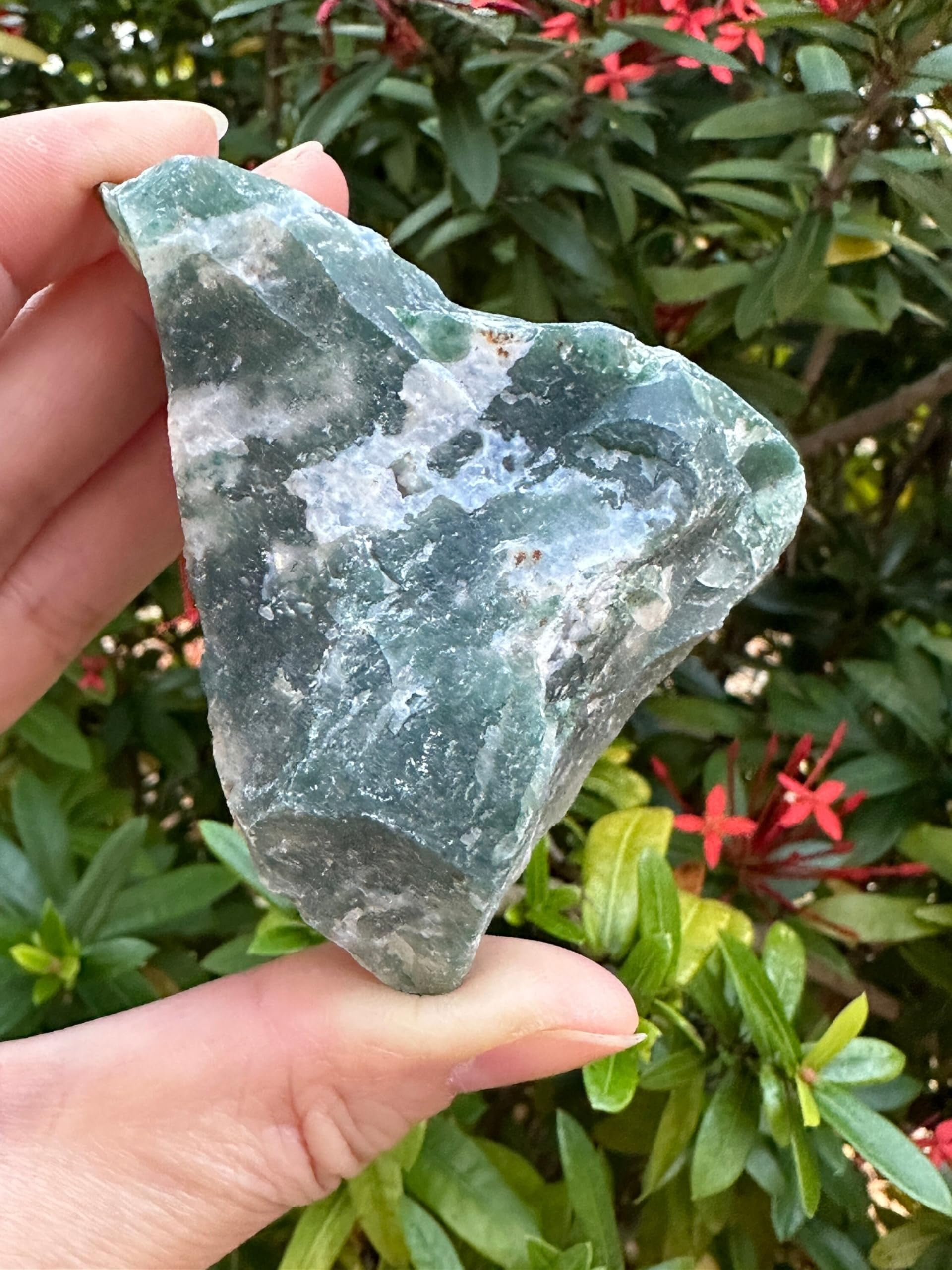 Large Raw Tree Agate, Natural Tree Agate Stone, Natural Rough Tree ...
