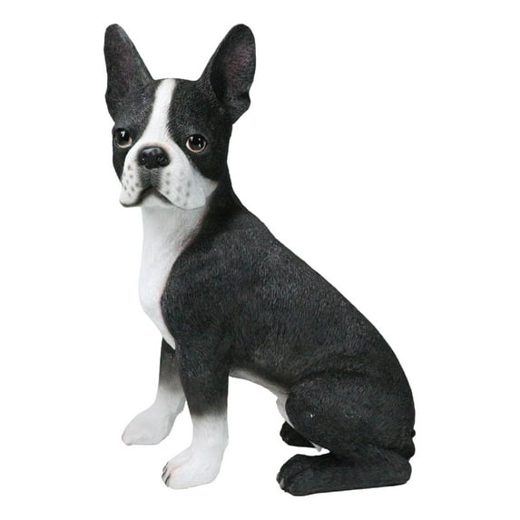 Large Realistic Tuxedo Boston Terrier Statue 15"Tall Animal Dog ...