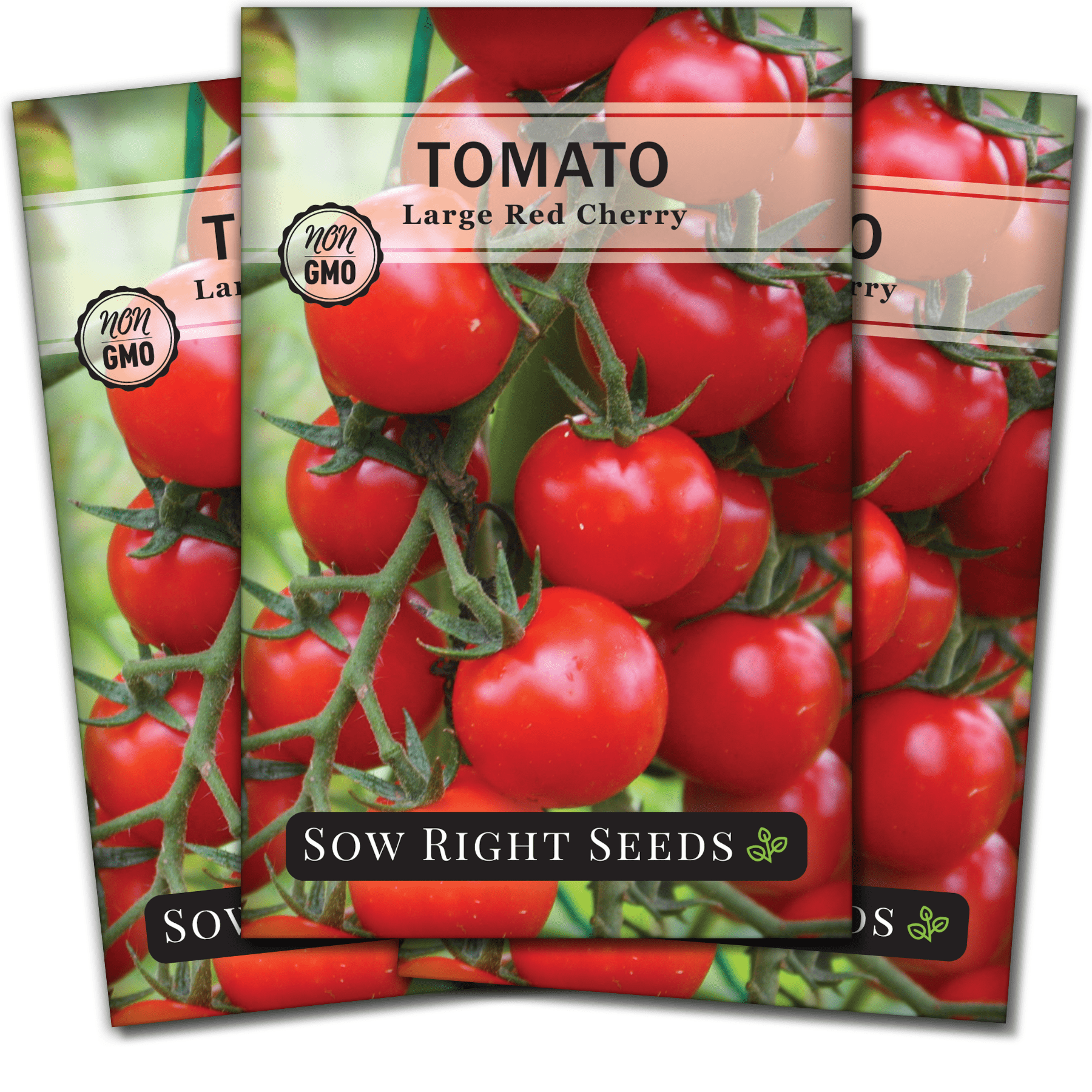 Large Red Cherry Tomato Seeds - Non GMO Heirloom Varieties for your ...