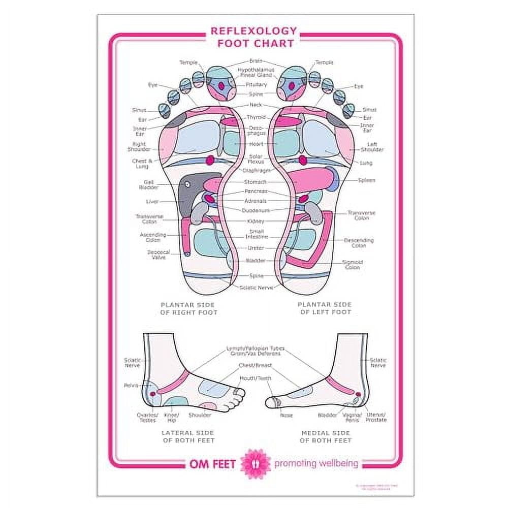 Large Reflexology Chart Poster - Vibrant Art Print - Walmart.com