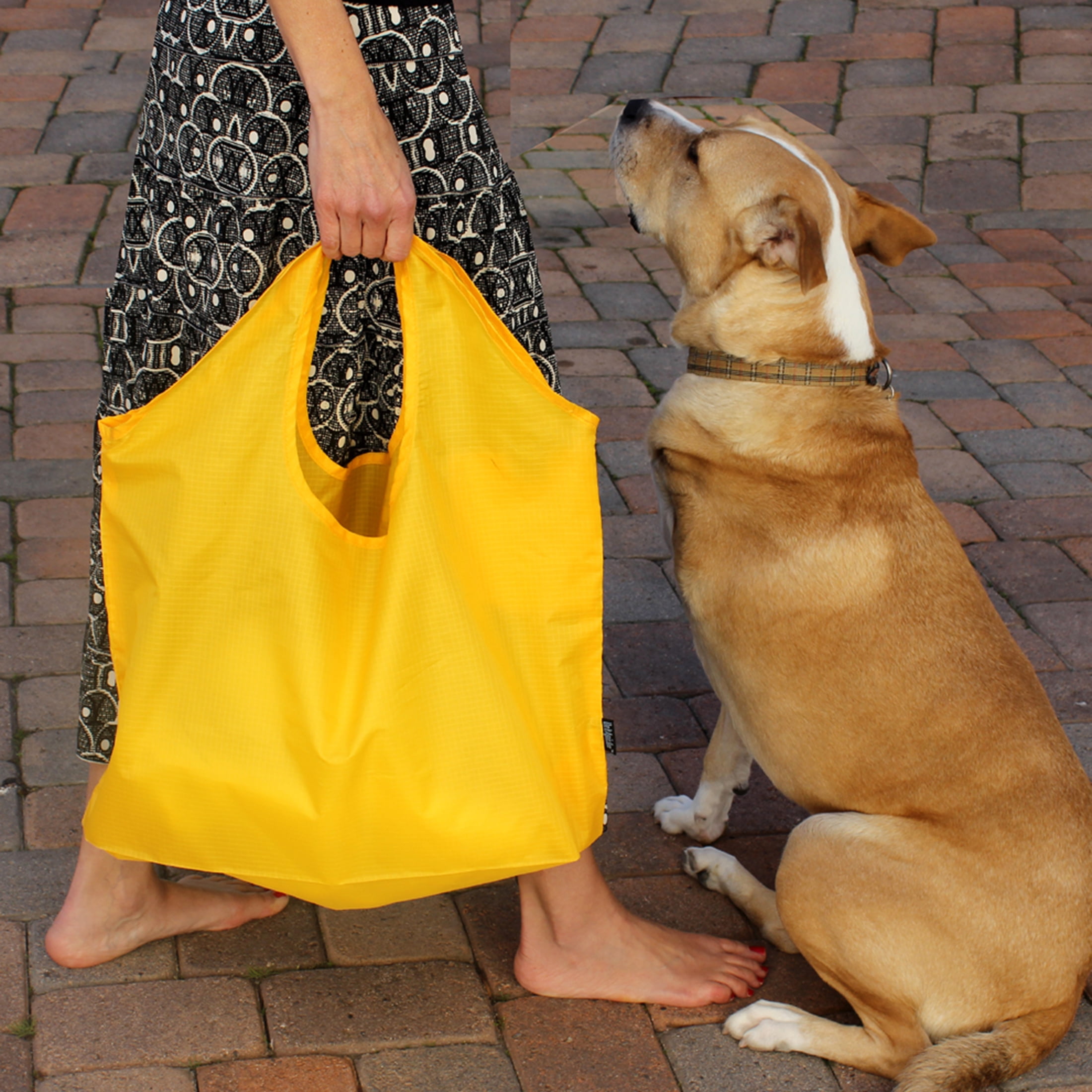 Large Reusable Eco Friendly Grocery Shopping Tote Bags | Cadmium | 12 ...