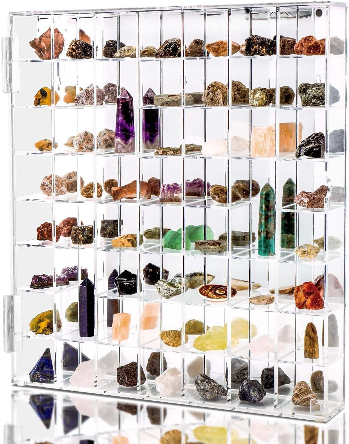 Large Rock Fossil Arrowhead Display Case Adjustable Seashell Display ...