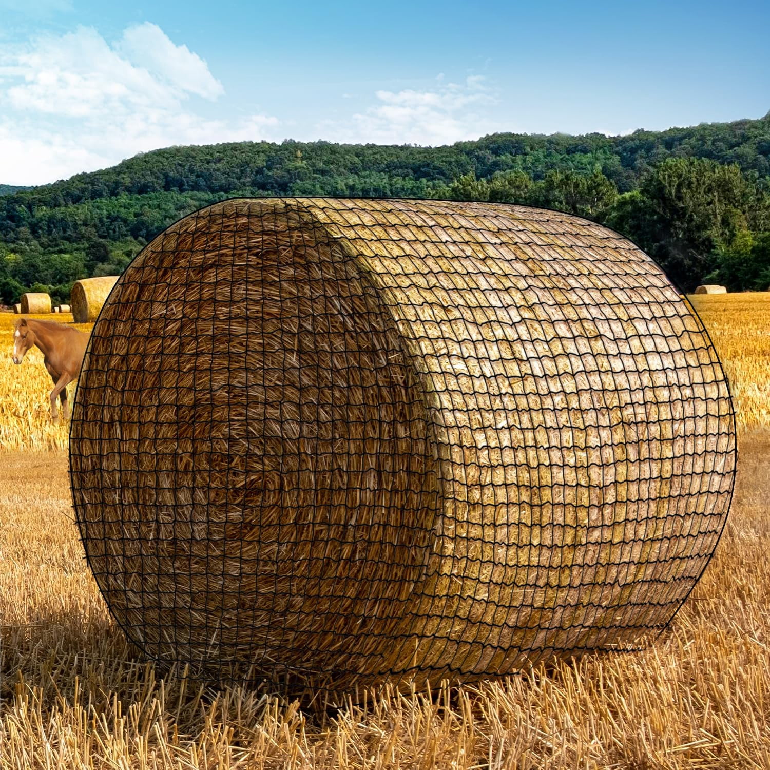 Large Round Bale Hay Net, 5 * 5 Feet Slow Feed Hay Net for Horses ...