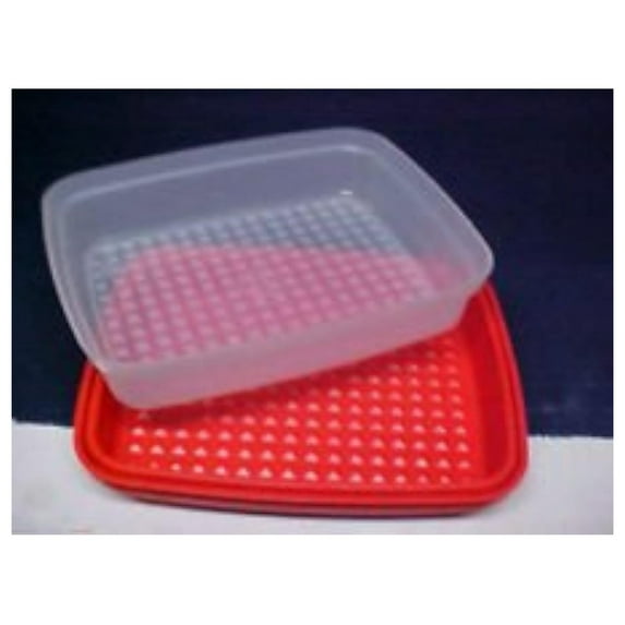 Large Season Serve Container - Paprika Bottom, Sheer Seal - Walmart.com