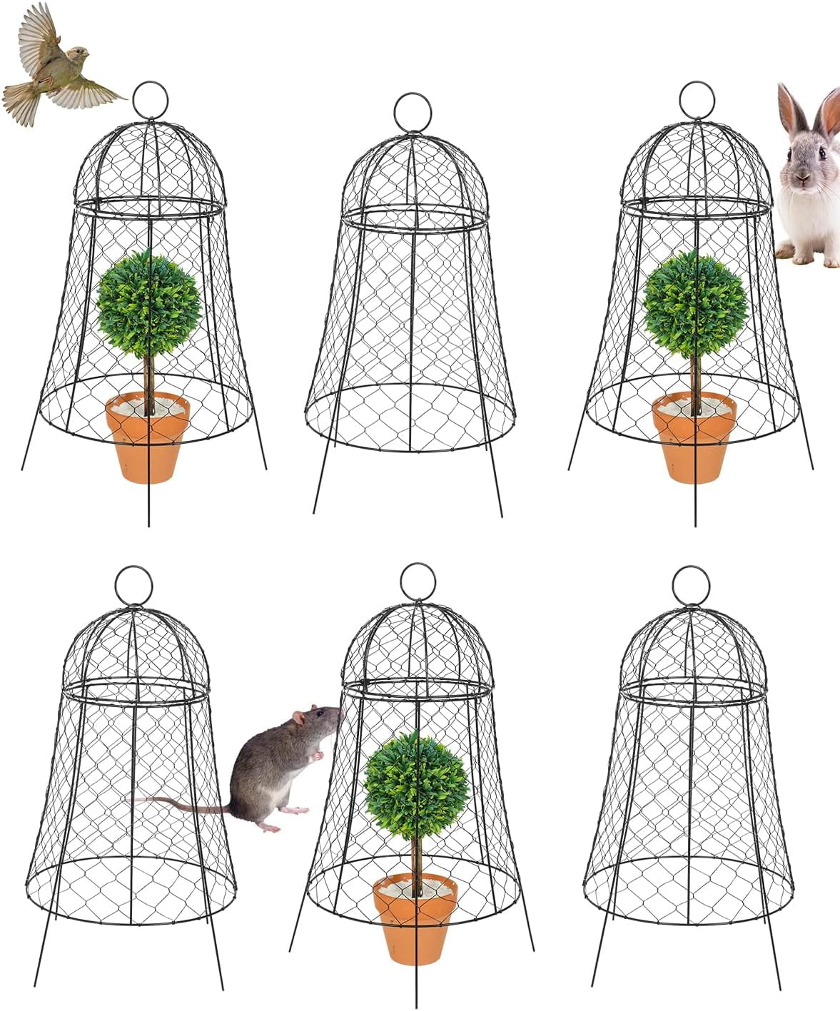 Large Side Garden Chicken Wire Cloche, Plants Protector,Protect Plants ...
