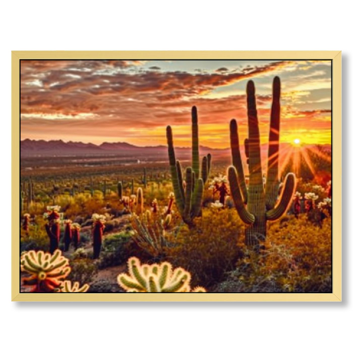 Large Single Piece Canvas Painting North American Sonoran Desert at ...