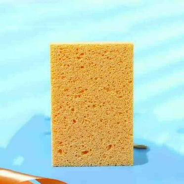 10Pack Cute Sponges, Reusable Kitchen Sponge, Cartoon Compressed Wood ...