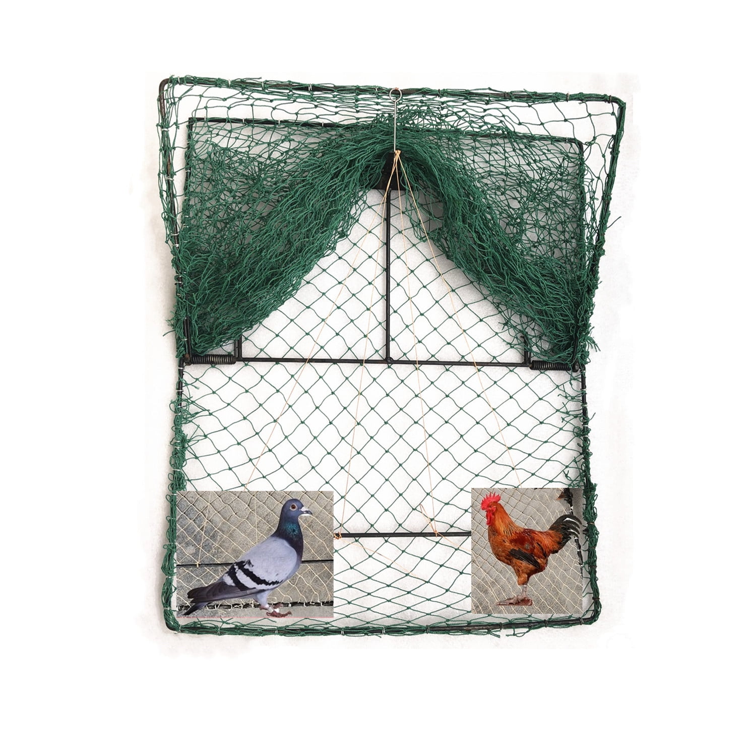 Large Spring Domestic Bird Hawk Chichen Control Catcher Outdoor Camping ...