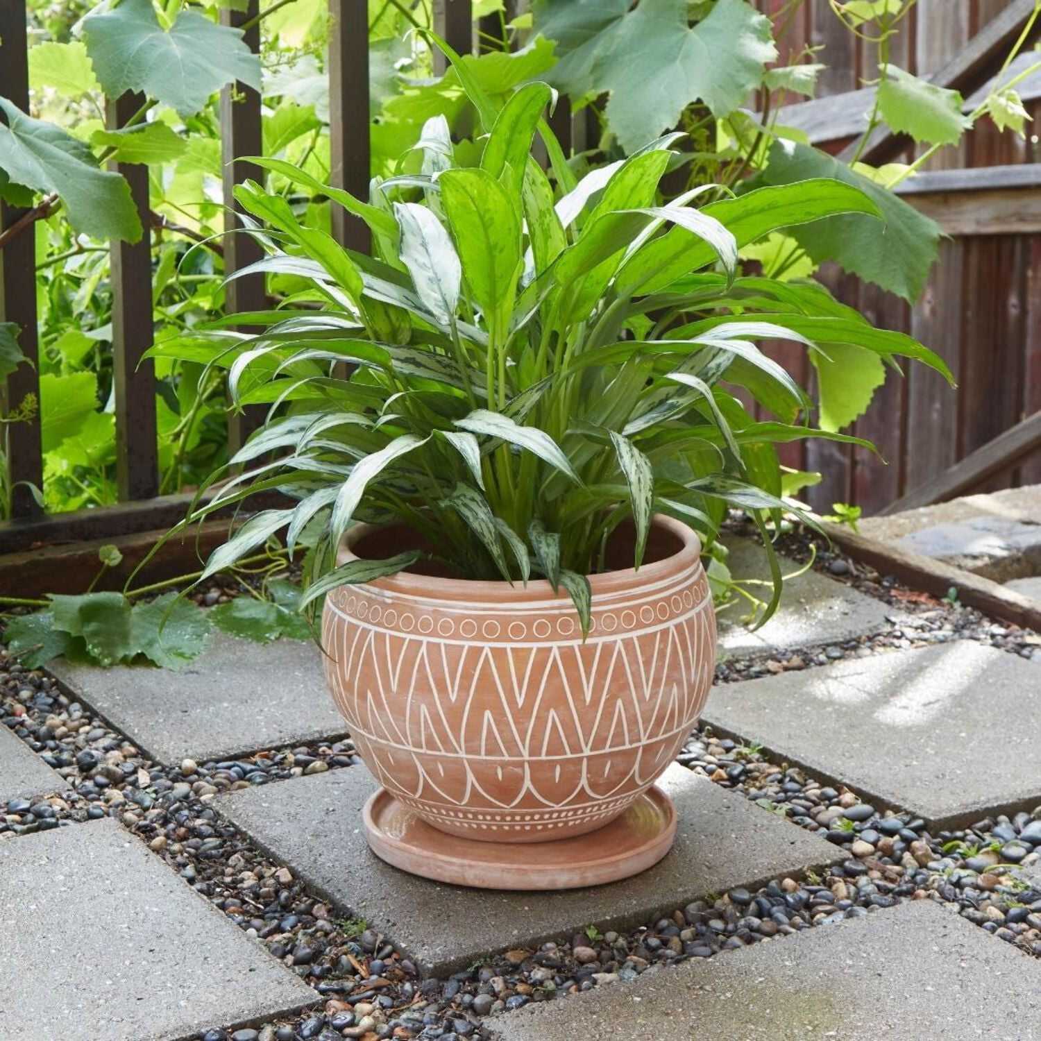 Large Terracotta Belly Pot Saucer - Walmart.com