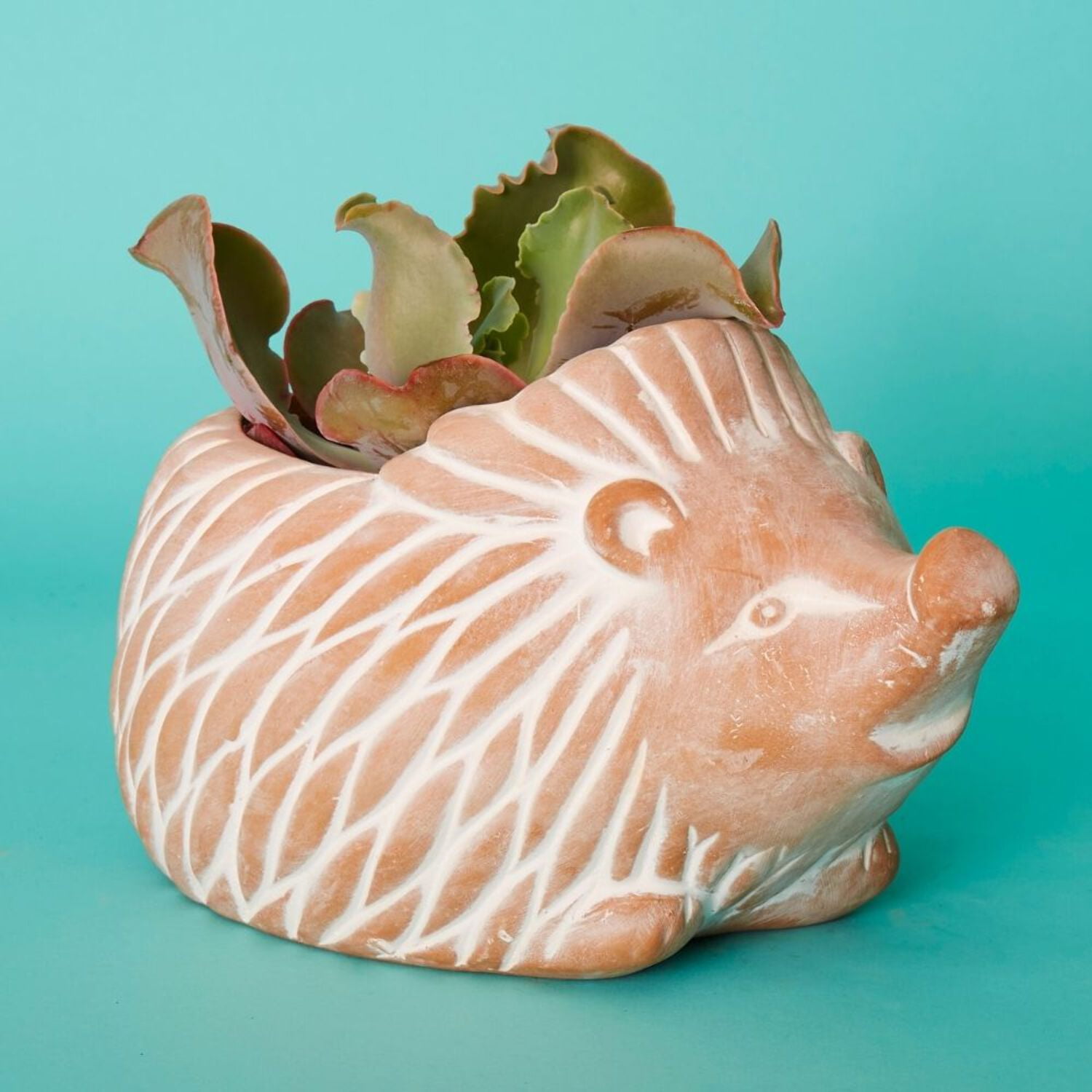 Large Terracotta Hedgehog Pot - Walmart.com