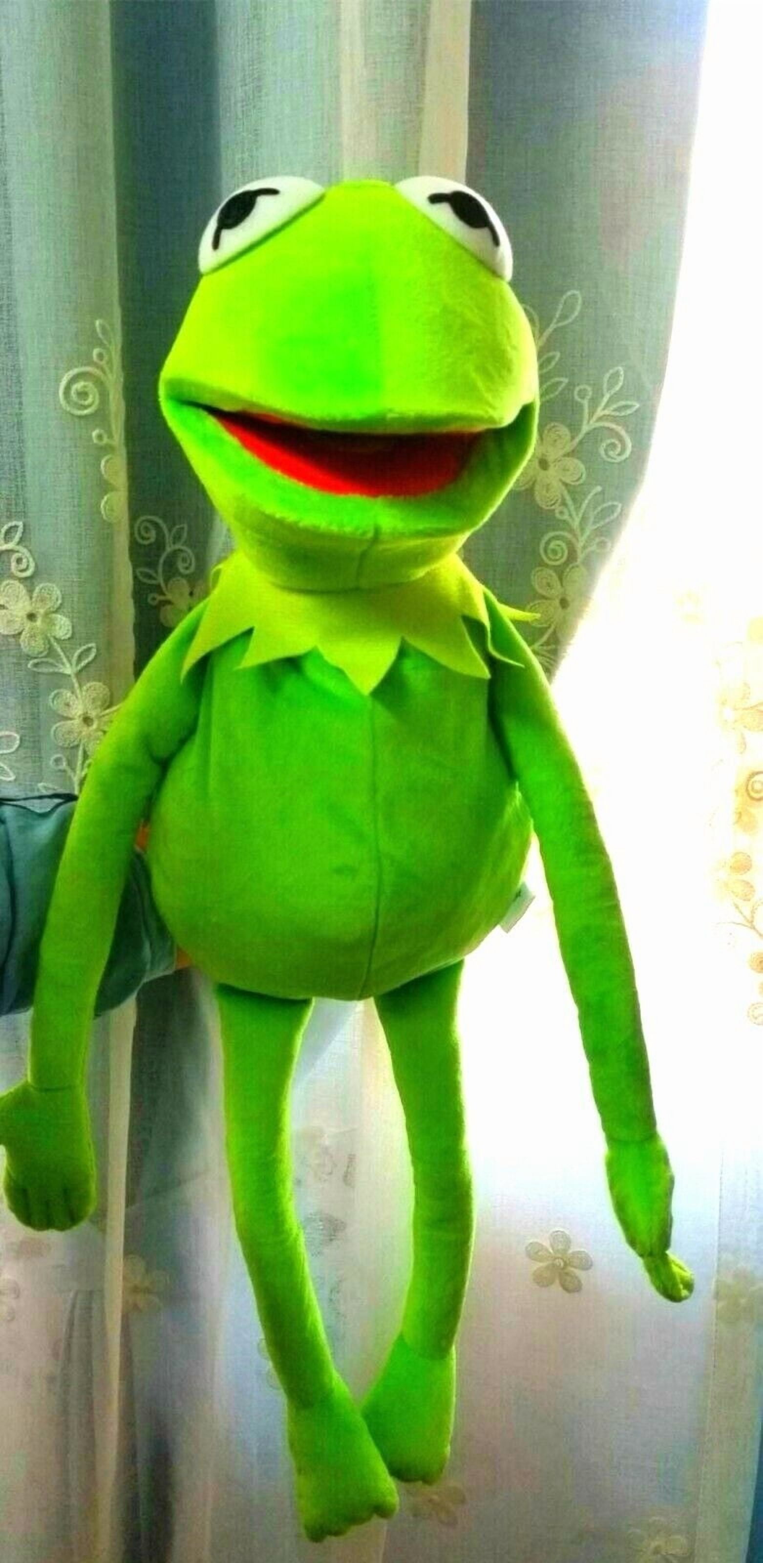 Large The Muppets Show 60Cm Kermit Frog Puppet Plush Toy Doll Kids Gift ...