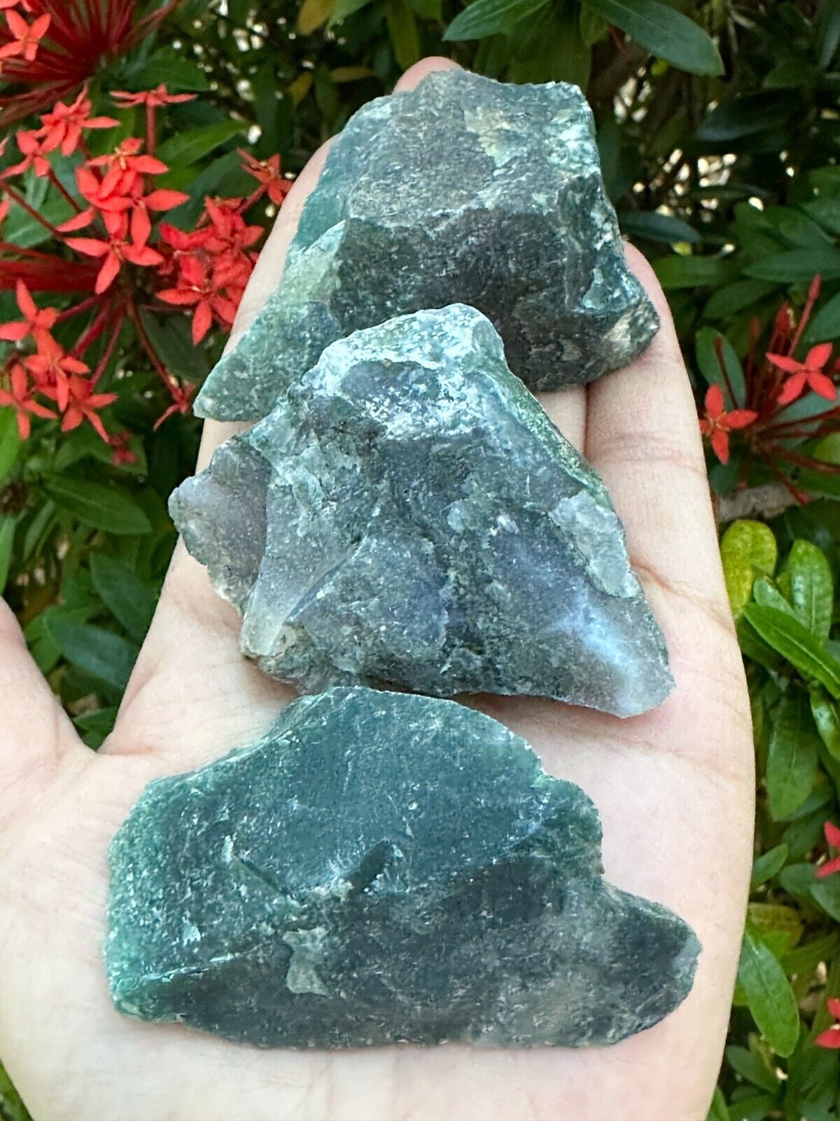 Large Tree Agate Rough Stone, 2-3" Raw Tree Agate Crystals,Pick How ...