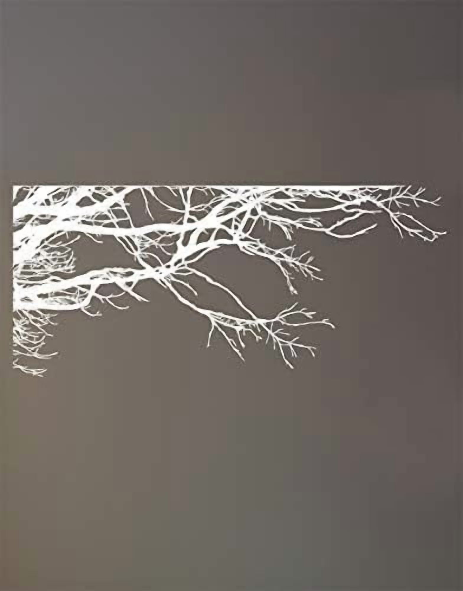 Large Tree Wall Decal Sticker - Semi-Gloss White (21in X 50in) Left to ...