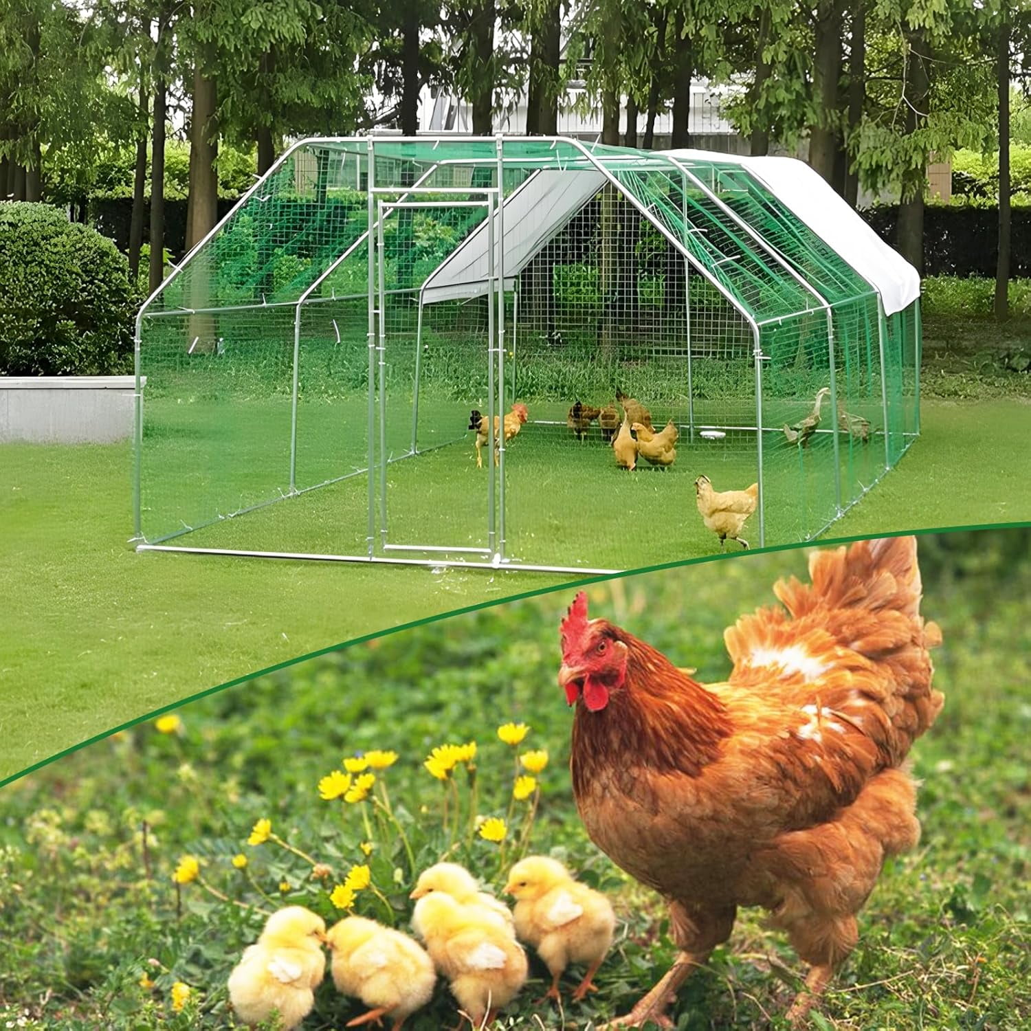 Large Walk-In Metal Chicken Coop with Waterproof & UV-Resistant Oxford ...