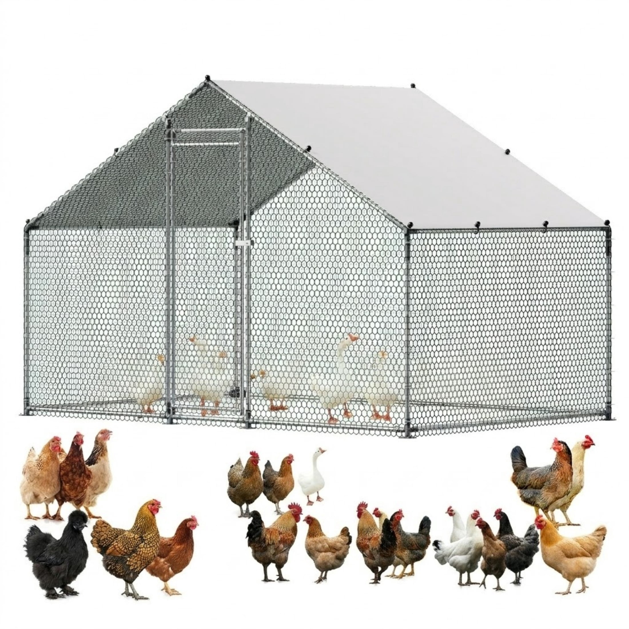 Large Walk-in Metal Chicken Coop with Cover 9.8x6.5x6.5 ft - Walmart.com