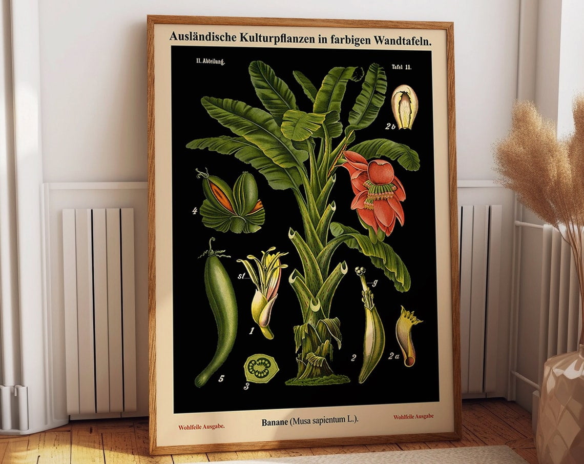 Large Wall Art Botanical Art Botany Print Large Botanical Poster ...