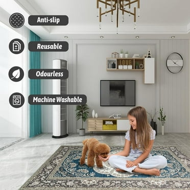 G-Floor 5' x 10' Polyvinyl Ceramic Pet Friendly Carpet Protector for ...