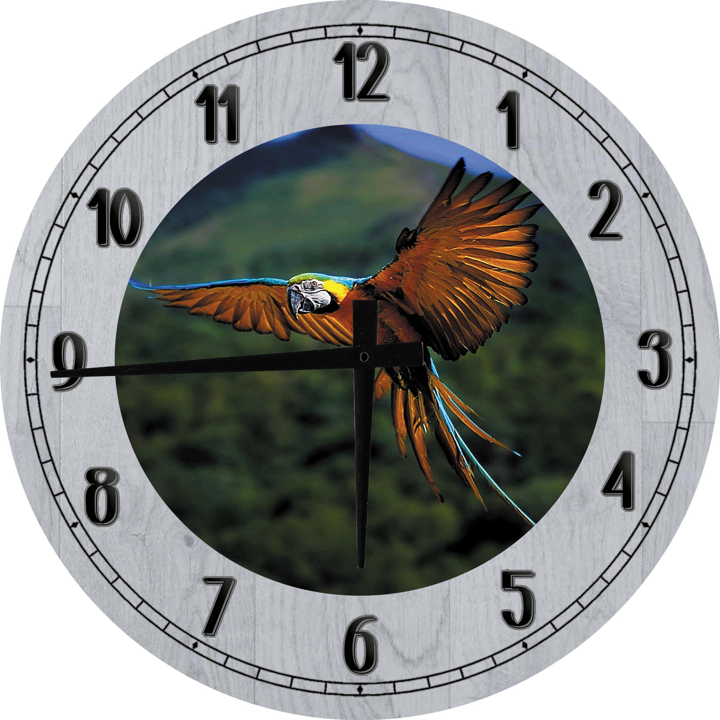 Large Wood Wall Clock 24 Inch Round Bird Wall Art Bright Colored Parrot ...