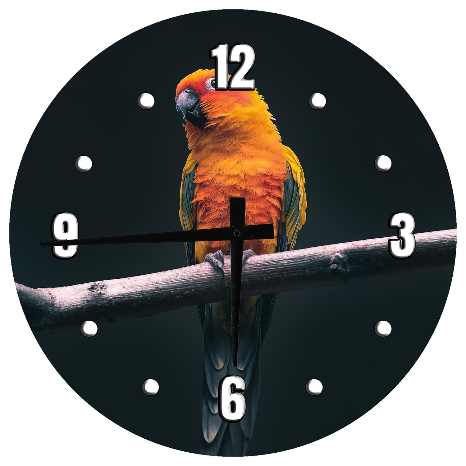 Large Wood Wall Clock 24 Inch Round Orange Tropical Parrot Grey Bird ...