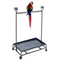 Large Wrought Iron Parrot, Parakeet Bird Play Stand with Natural Wood ...